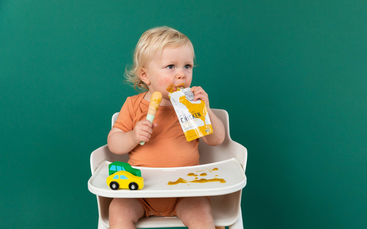 Guide on When to Introduce Meat to Your Baby's Diet – Serenity Kids